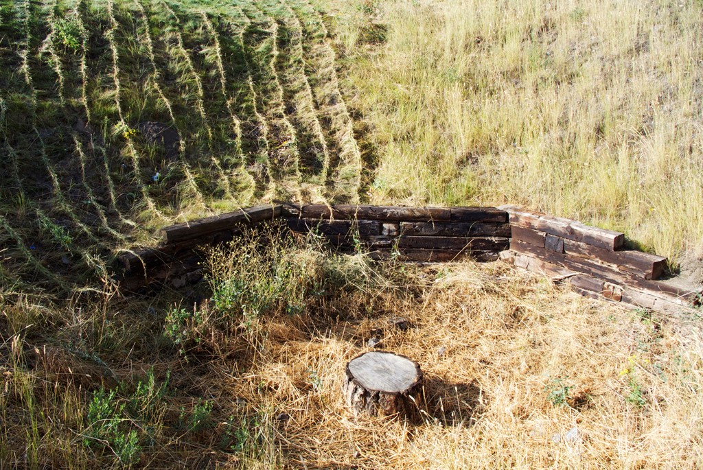 Braided Grass - Indigenous Public Art