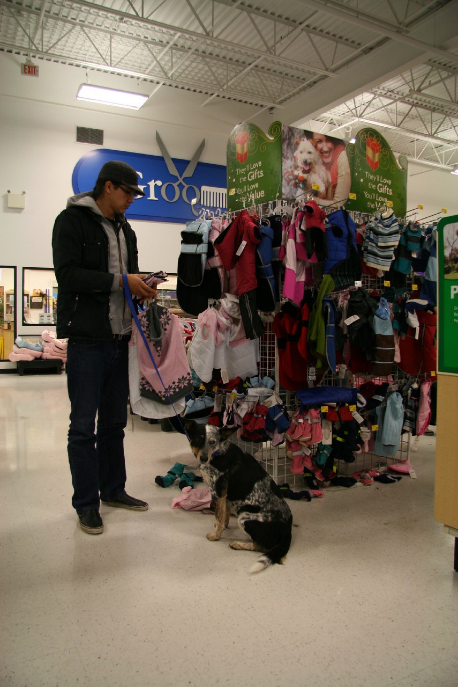 Reservation Dog - Indigenous Public Art